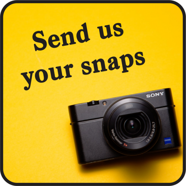 Pond Liquid Lining - Safe Fish Pond Paint - Kote - South Africa